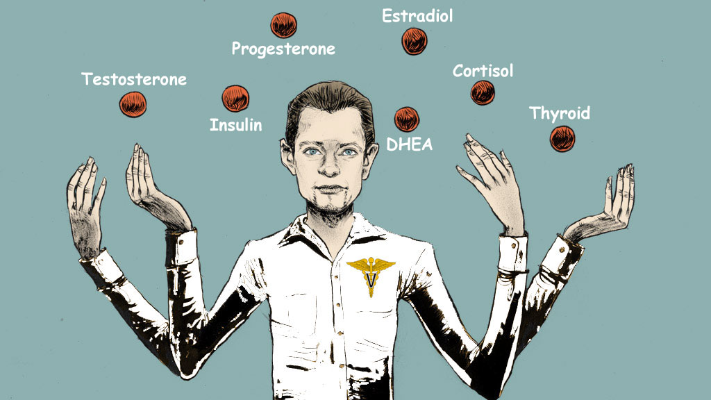 Hormones and the Endocrine System – Healthy and Happy Dog