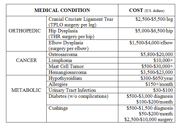 The Hidden Cost of Spay/Neuter – Healthy and Happy Dog